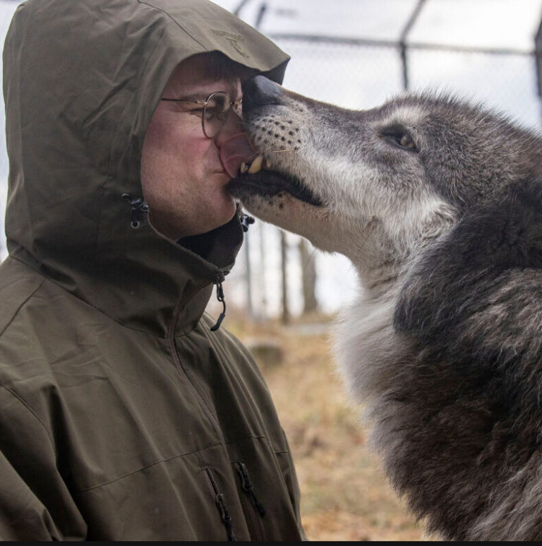 Our Team – Visit Wolf Park