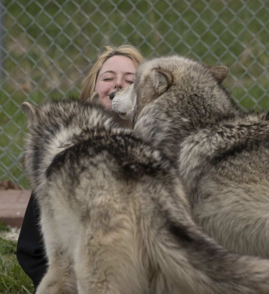 Our Team – Visit Wolf Park