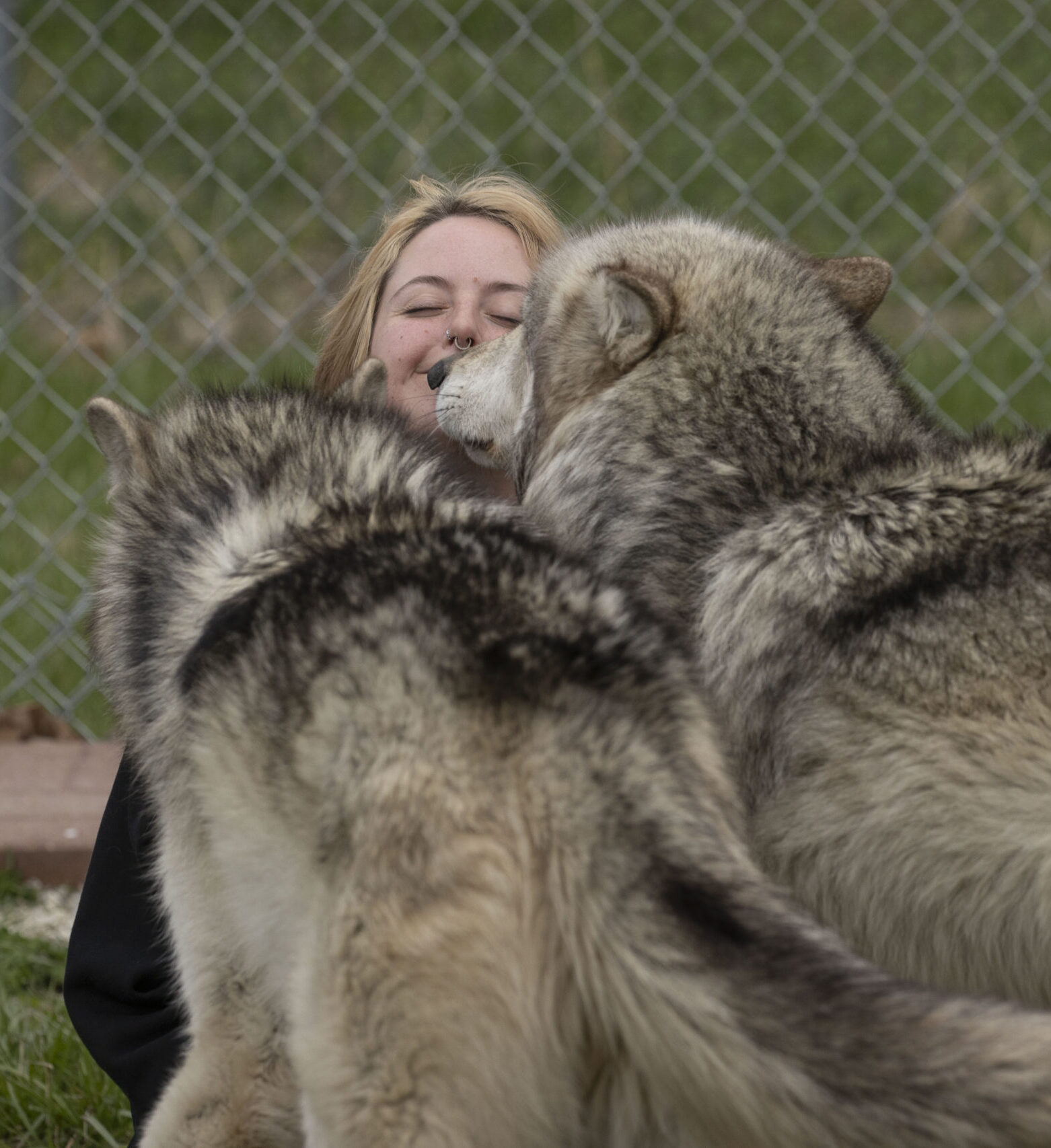 Our Team – Visit Wolf Park