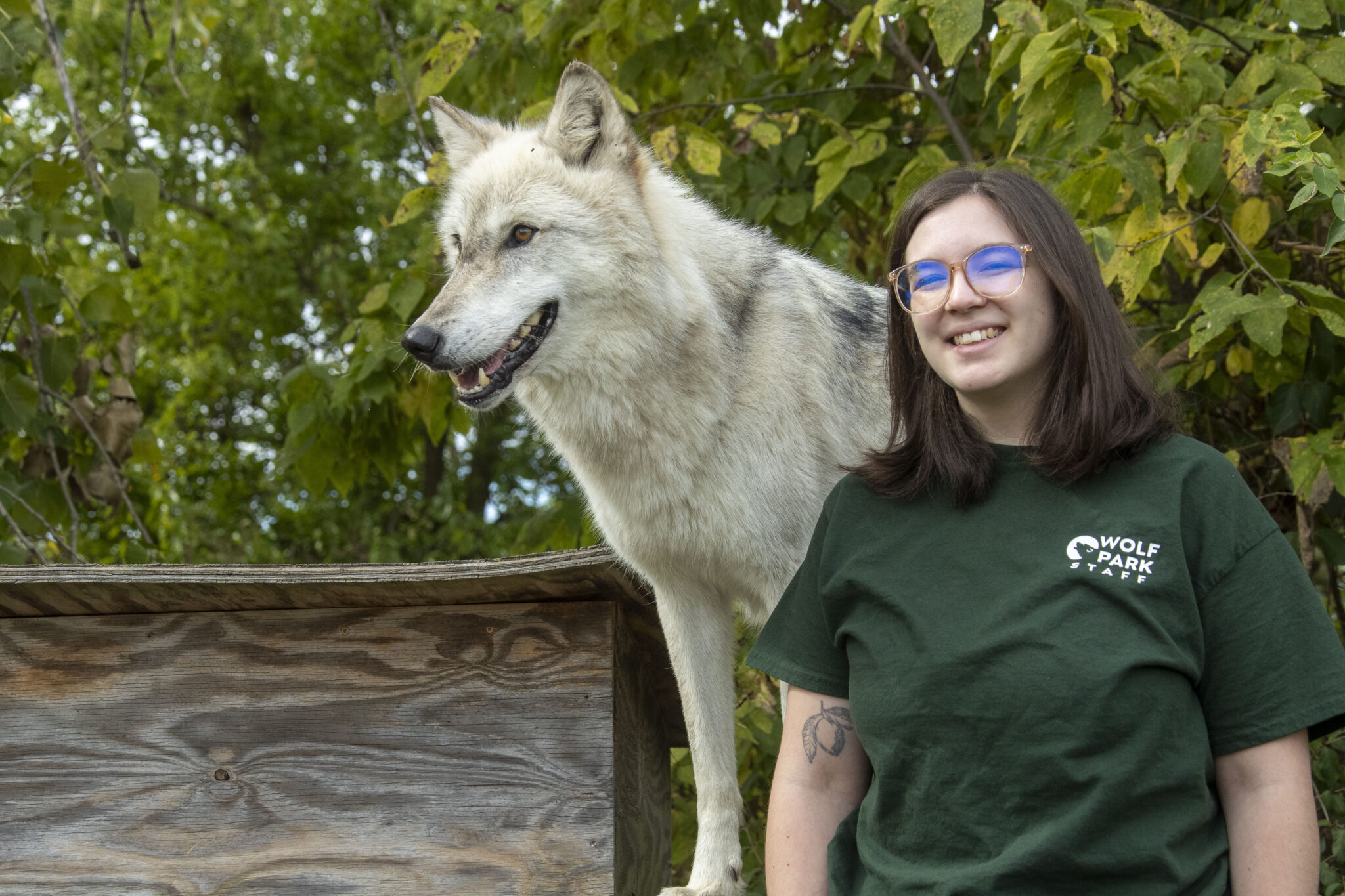 Our Team – Visit Wolf Park